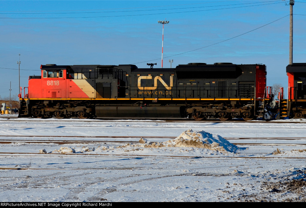 CN 8818